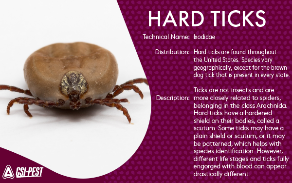 A Closer Look: Tick Facts